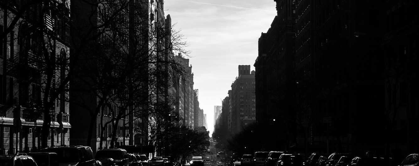 Homebuying Assistance Explorer 🧭 - Decision Fish